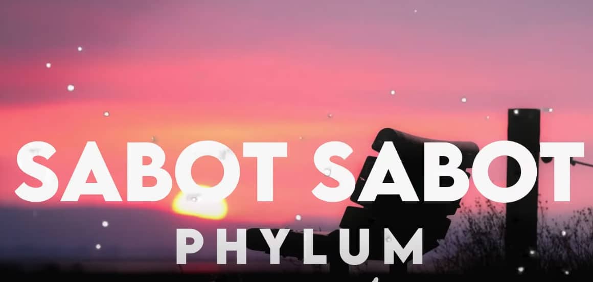 Claver Daily - Get the latest news and updates about Claver, SDN